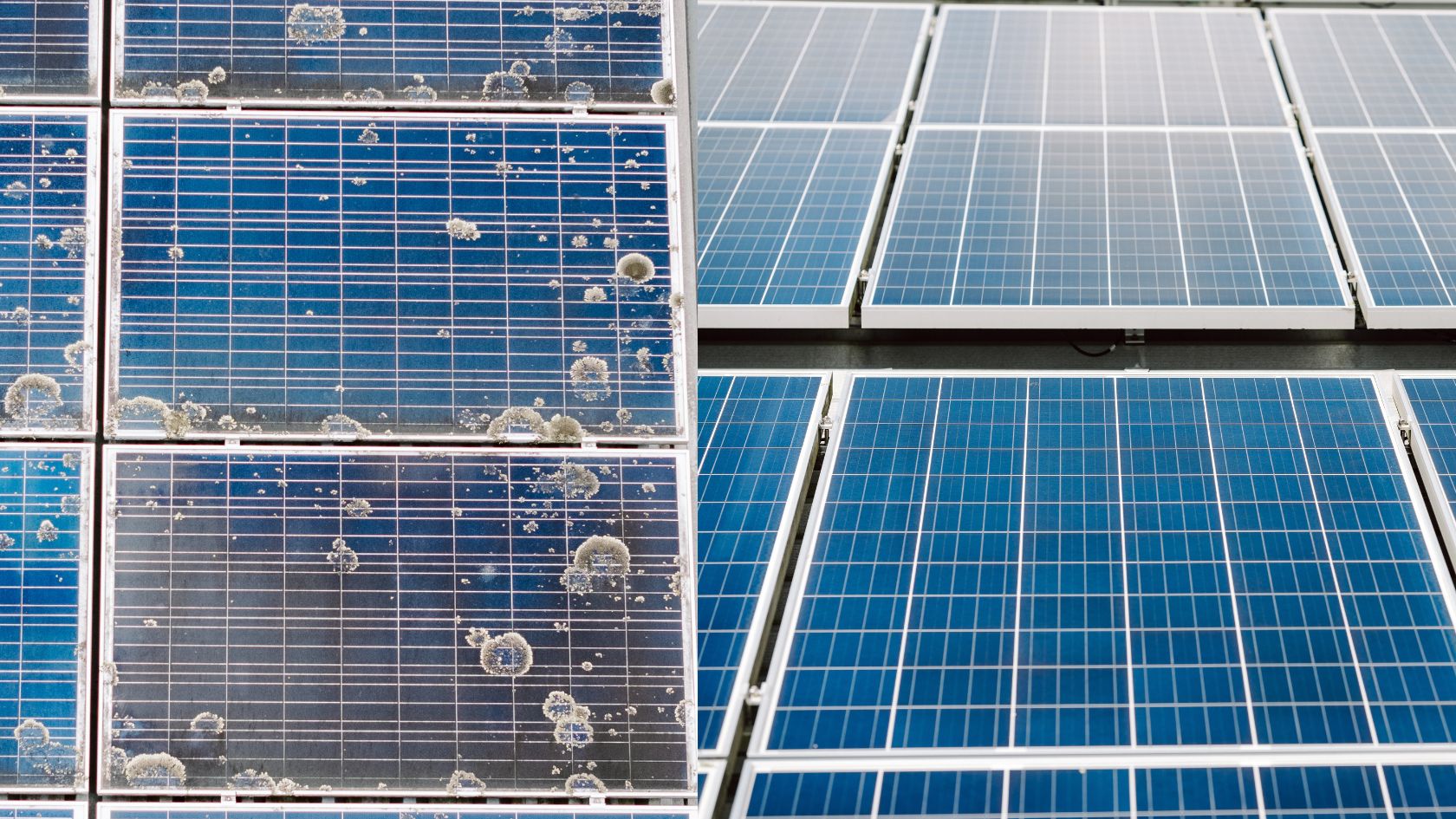 Most Common Mistakes To Avoid When Cleaning Solar Panels