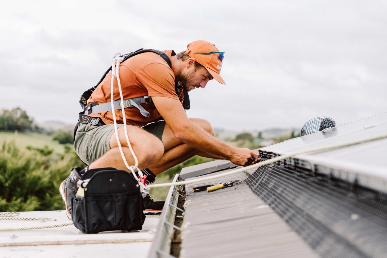 How To Bird-Proof Your Solar Panels | Eco Shine Solar